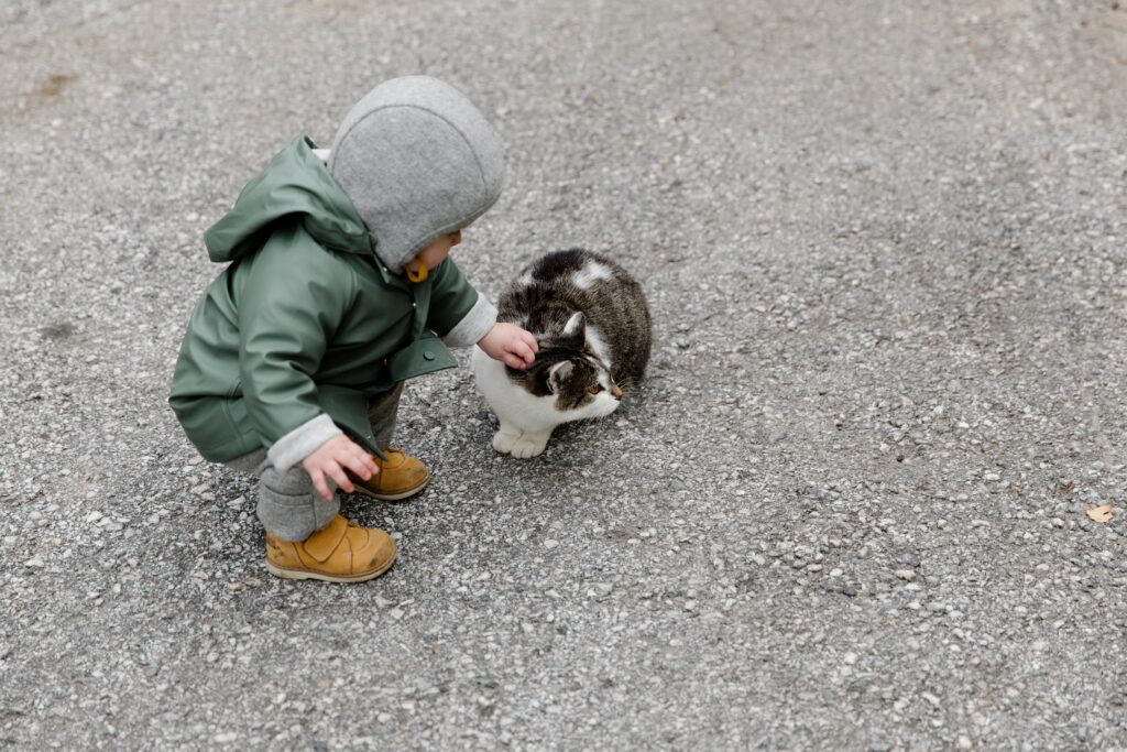 Kinder & Katzen - Ratgeber für Familienkatzen / Katzenfamilien - Katze.org